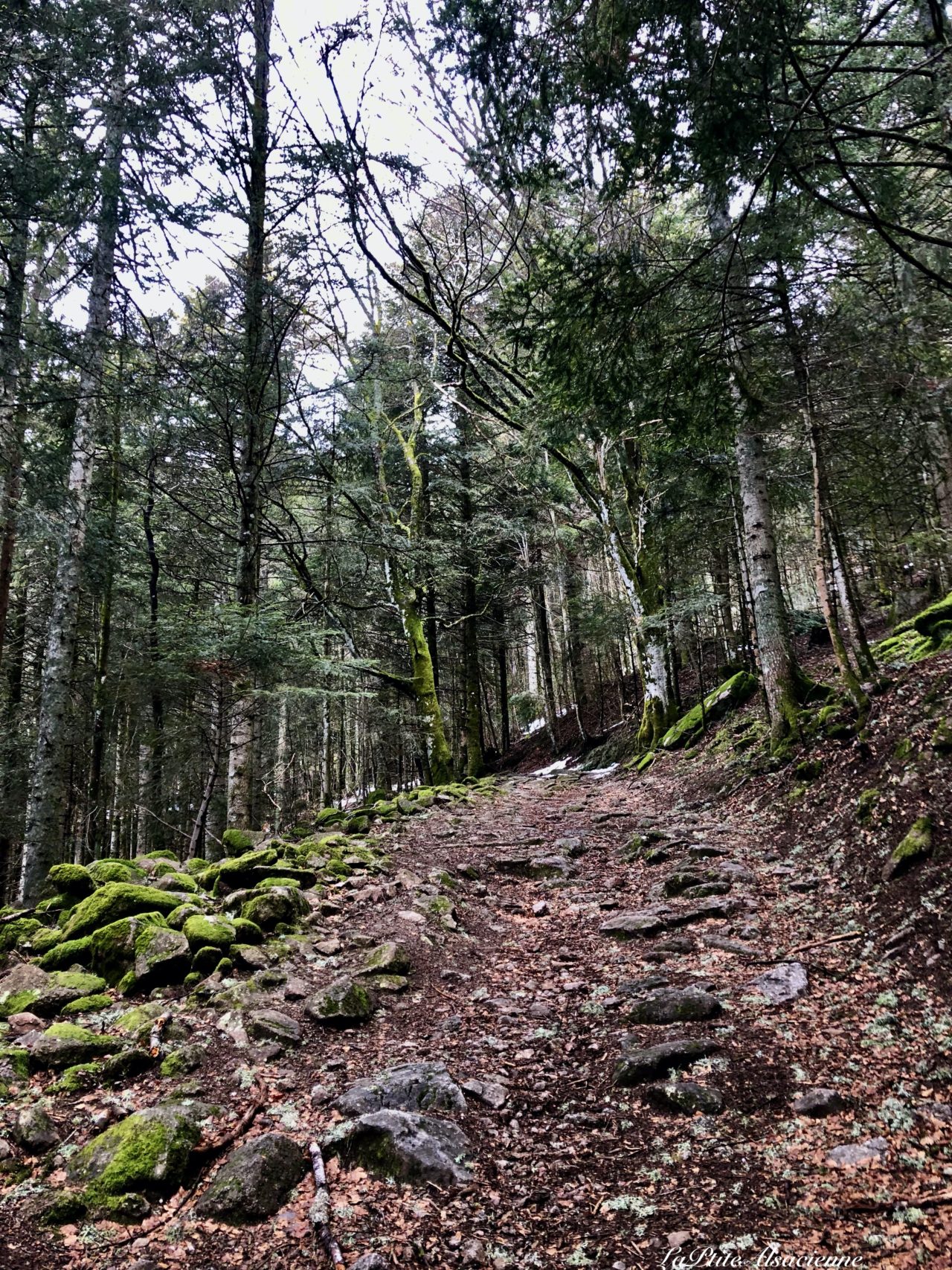 Randonnée au Lac des Perches et Petit et Grand Neuweiher ...