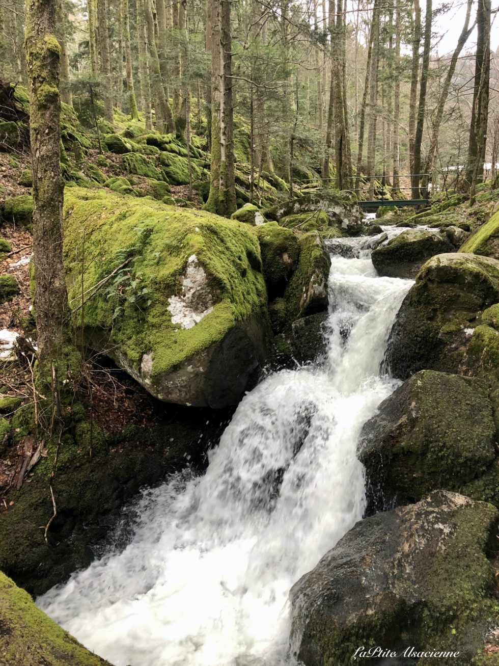 Randonnée au Lac des Perches et Petit et Grand Neuweiher ...